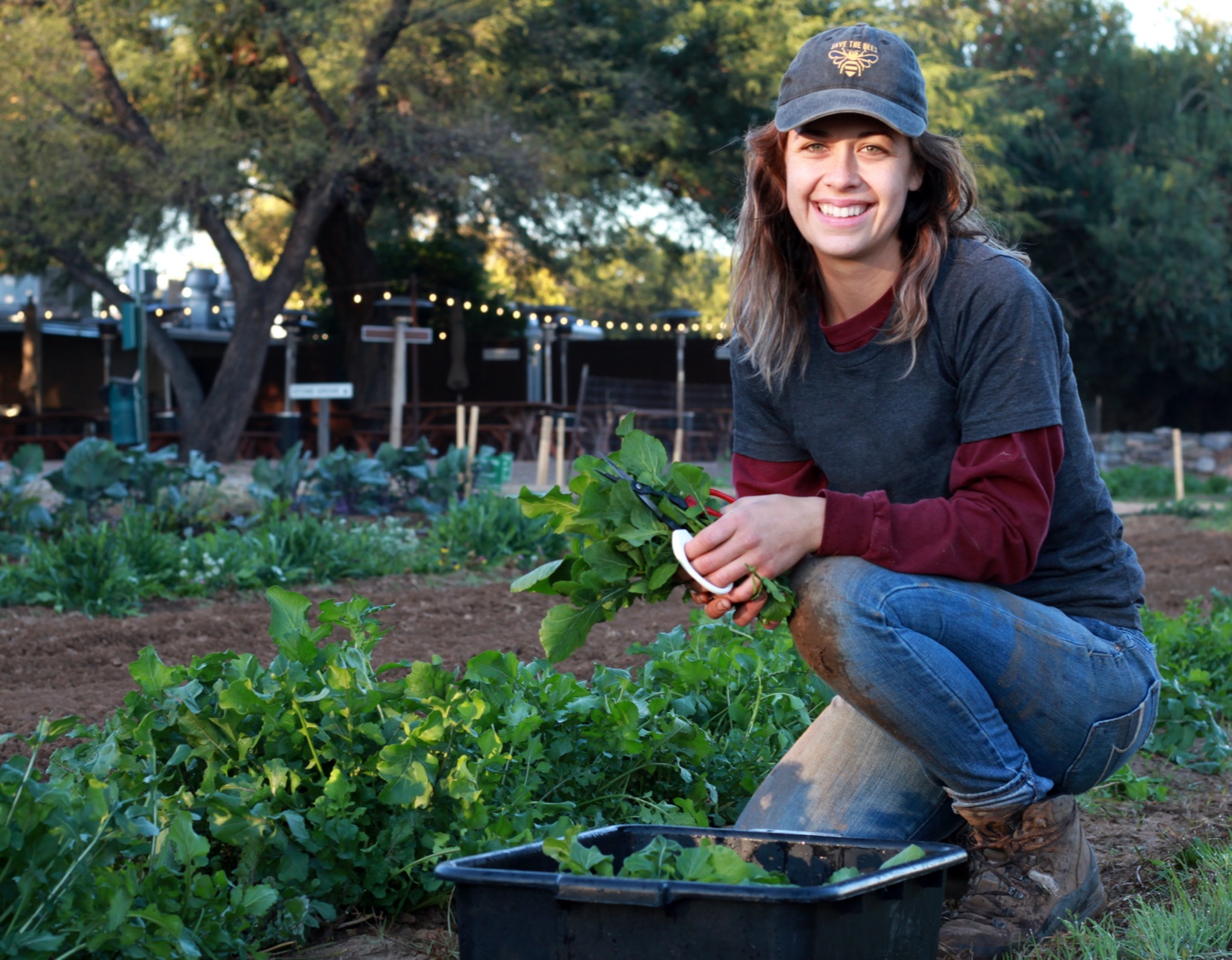 Food Assessment – 2020 – Maricopa County Food System Coalition